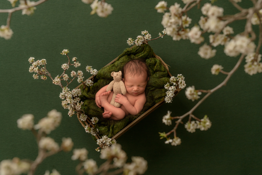 Gallery Newborn | Amie Parsons Photography